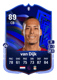 Virgil van Dijk EA FC 26 Ratings, Prices, and Cards - FUT.GG