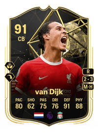 Virgil van Dijk EA FC 26 Ratings, Prices, and Cards - FUT.GG