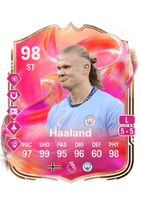 Erling Haaland EA FC 26 Ratings, Prices, and Cards - FUT.GG