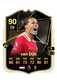 Virgil van Dijk EA FC 26 Ratings, Prices, and Cards - FUT.GG